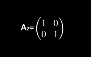 Matriz Identidad: ¡Descubre Su Sorprendente Poder! 🧠