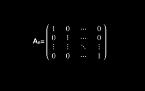 Matriz Identidad: ¡Descubre Su Sorprendente Poder! 🧠